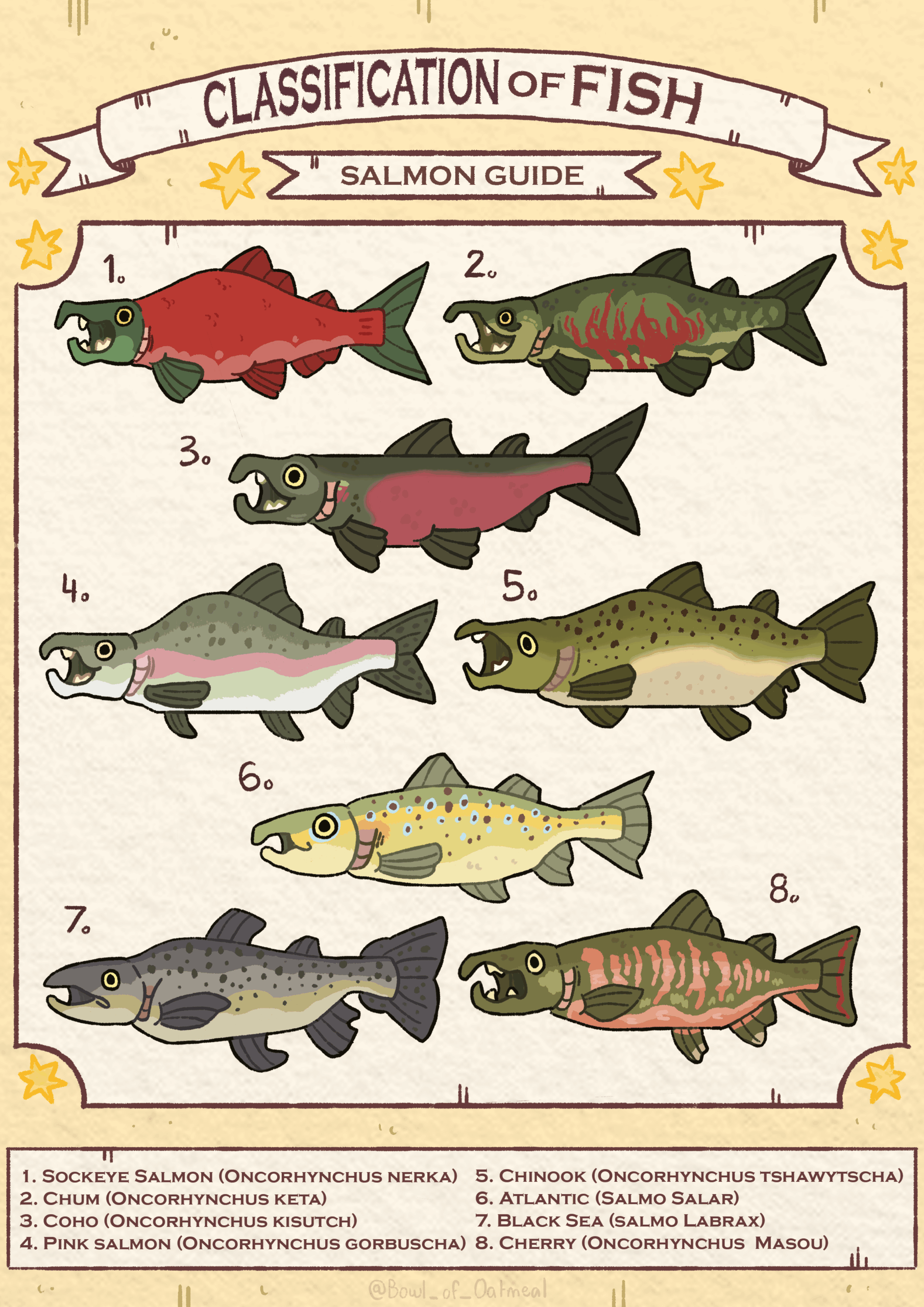 Salmon Classification Poster A5 by bowl of oatmeal - in.cube8r